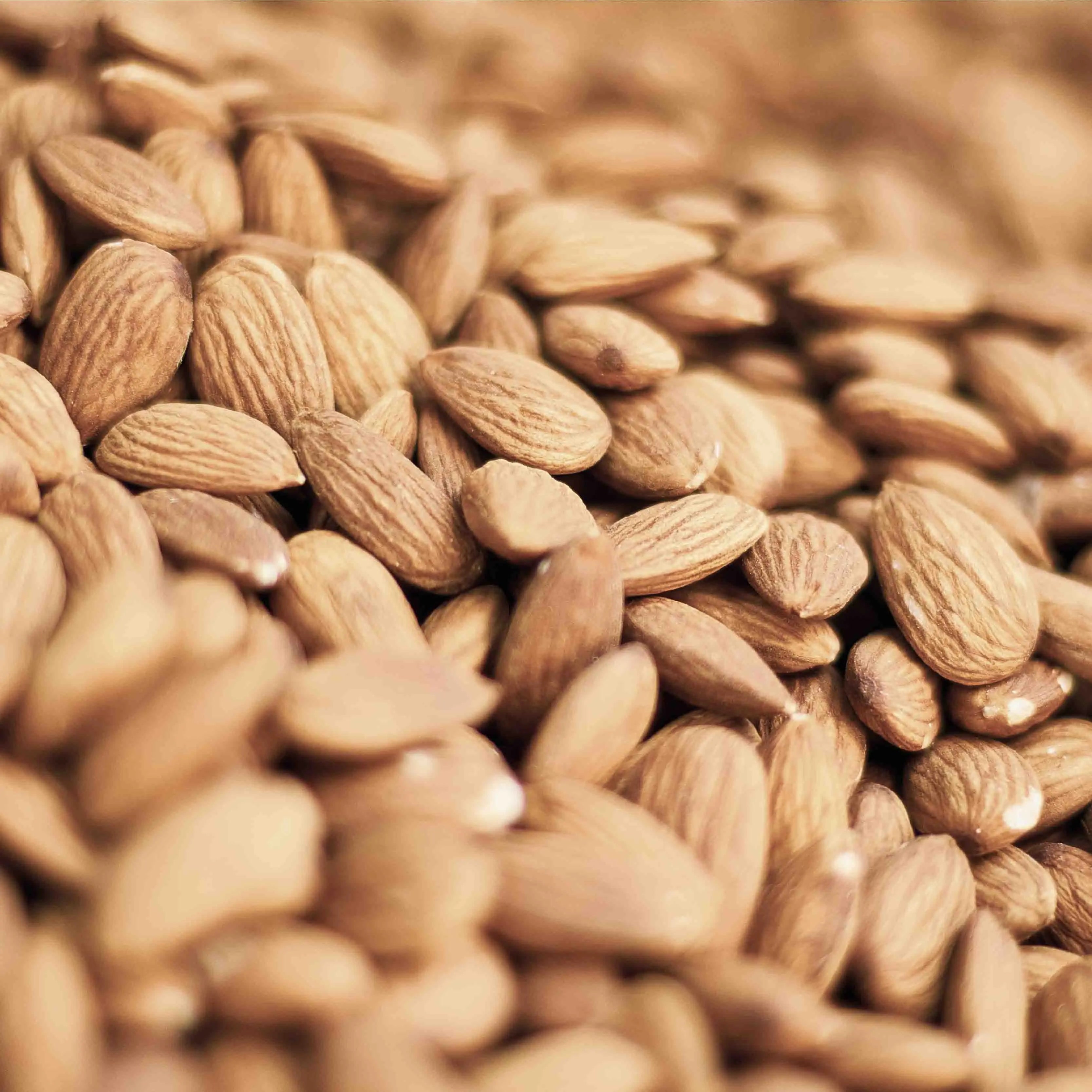 Using Energy Nut Butter on a Low-Carb High-Fat or Ketogenic Diet – Roam