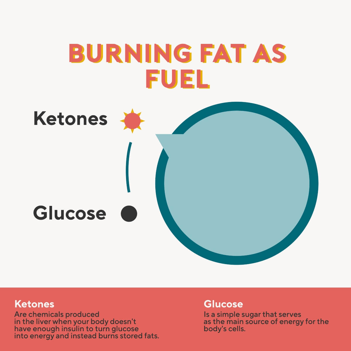 Using Energy Nut Butter on a Low-Carb High-Fat or Ketogenic Diet – Roam