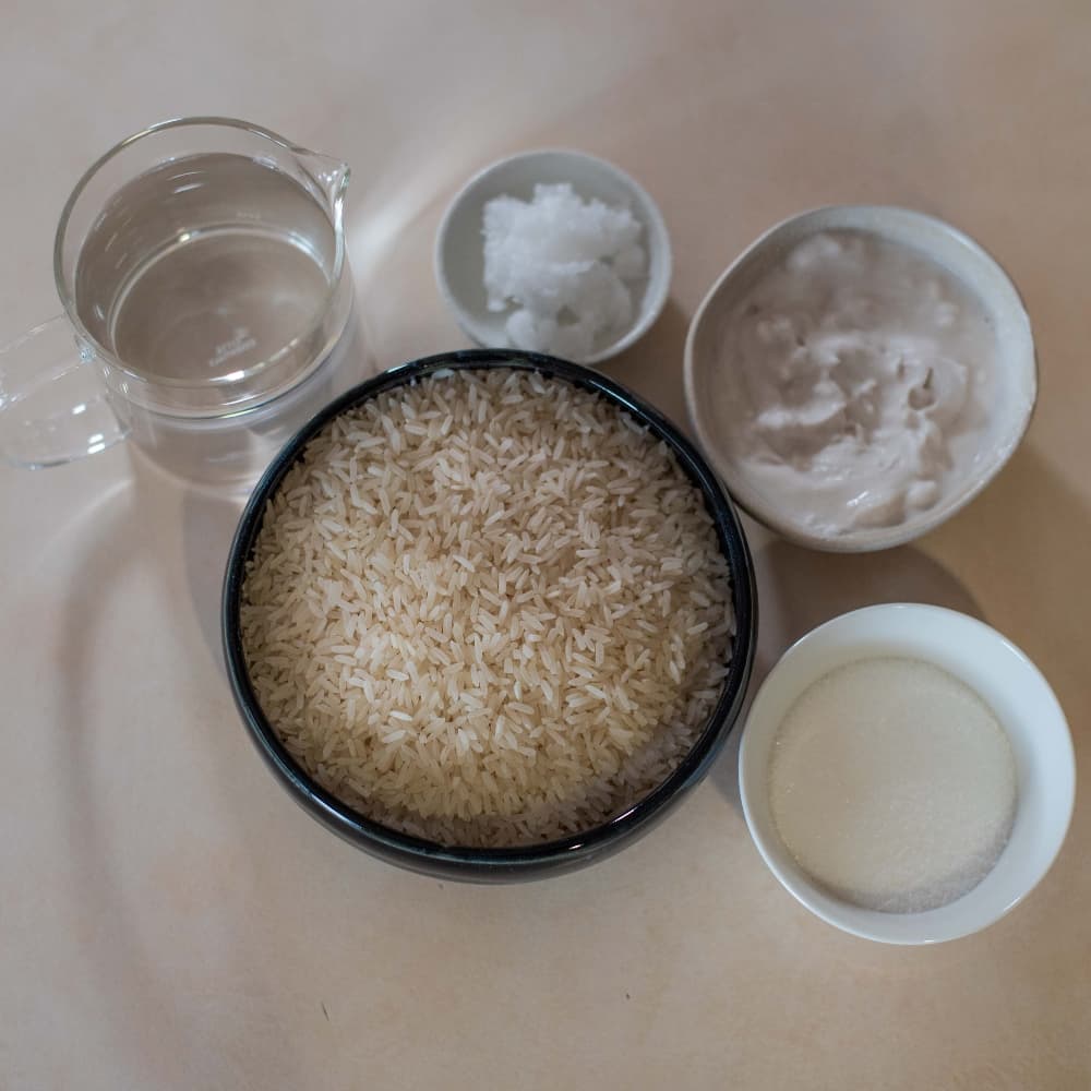 Delicious Vegan Rice Bar Recipe: The Ultimate Adventure Snack | Roam